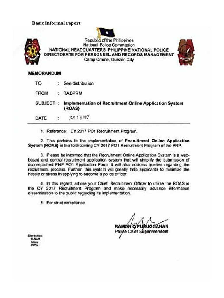 Basic informal report | PDF