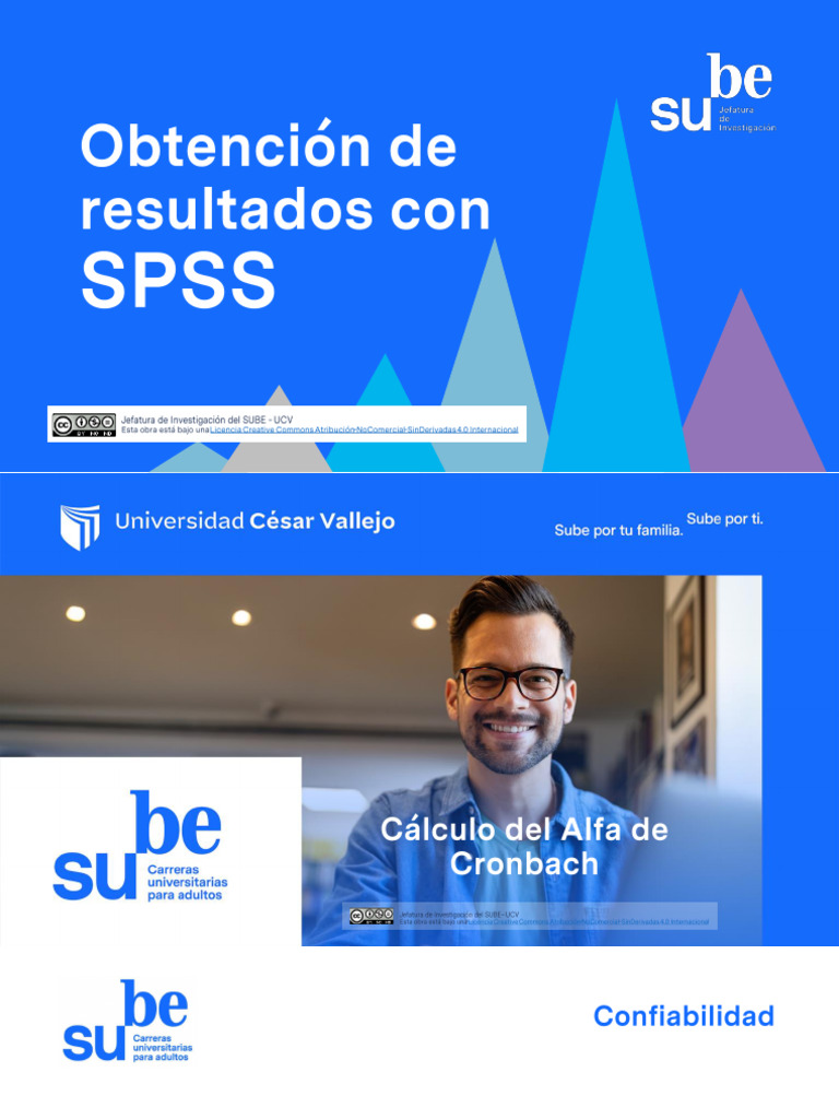 Manual Spss - Sube | PDF