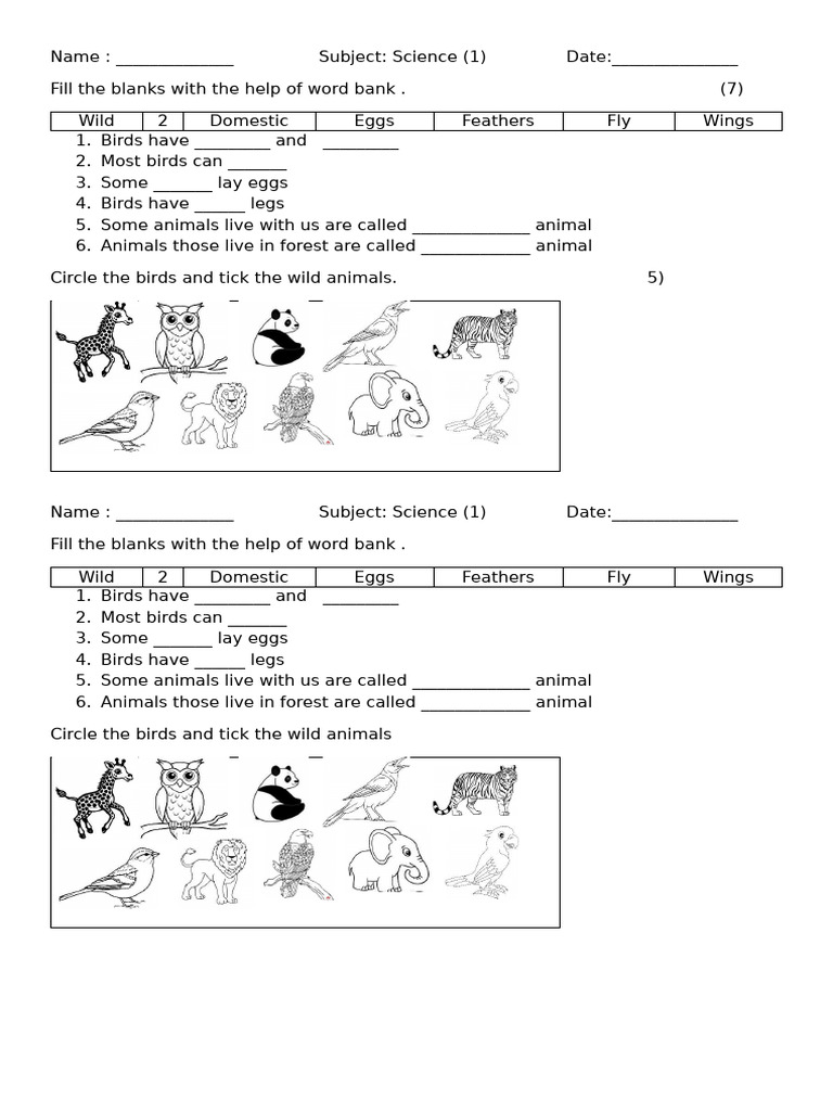 Science Worksheet: Birds & Animals | PDF