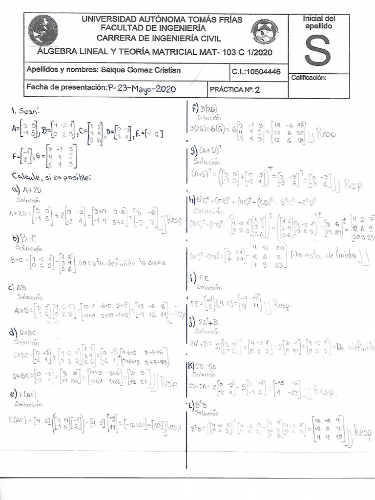 Cristian Saique Gomez P2 Matrices | PDF