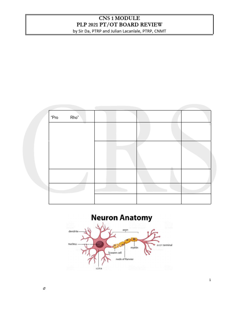 CNS 1 Module | PDF | Multiple Sclerosis | Parietal Lobe