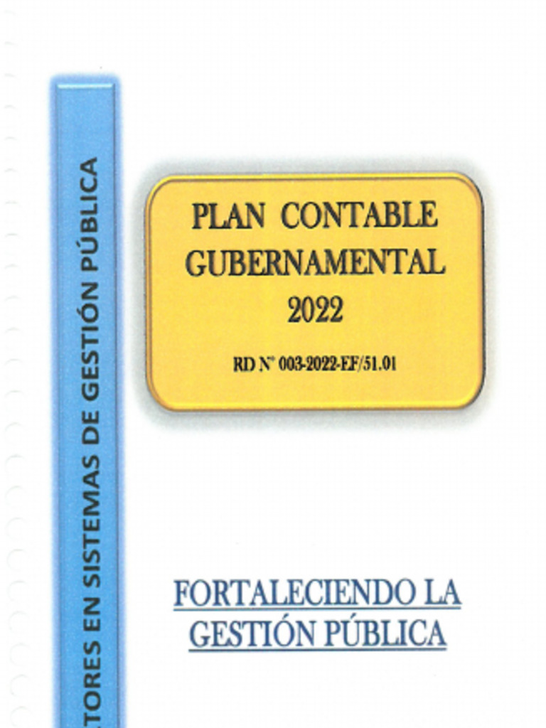 Plan Contable Gubernamental 2022 RD N 003-2022 | PDF