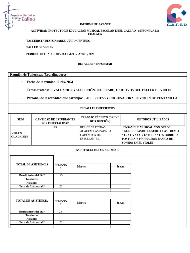 FORMATO Informe de Avance 2024 | PDF