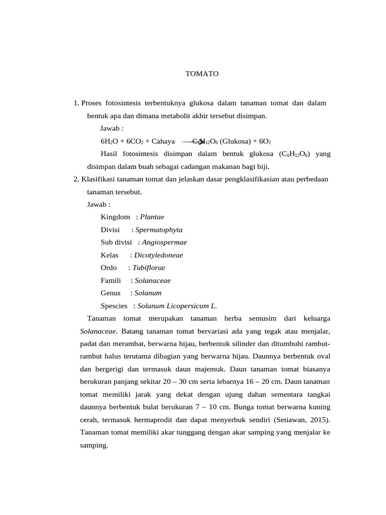 Biologi Tomat | PDF