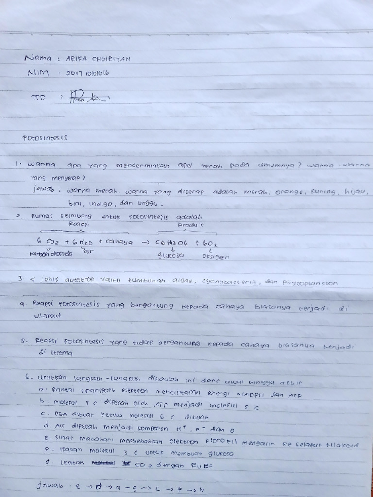 THP A Arika Choiriyah 1016 Biologi Dasar | PDF