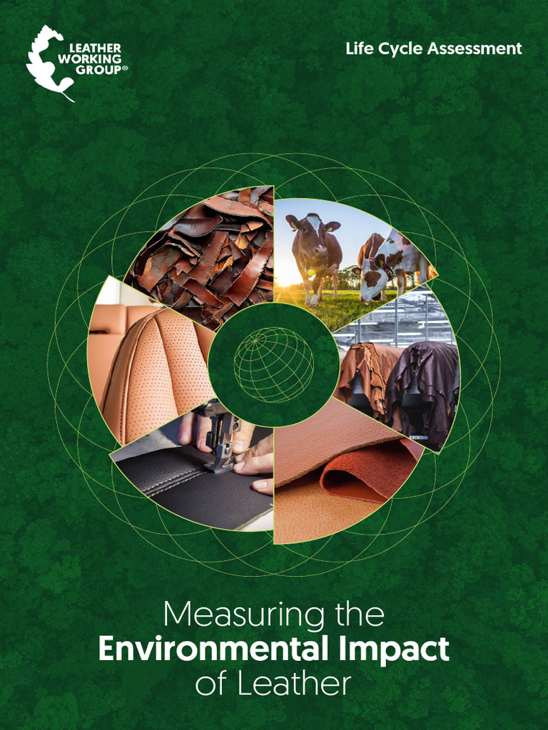 LWG Lca 2024 | PDF | Life Cycle Assessment