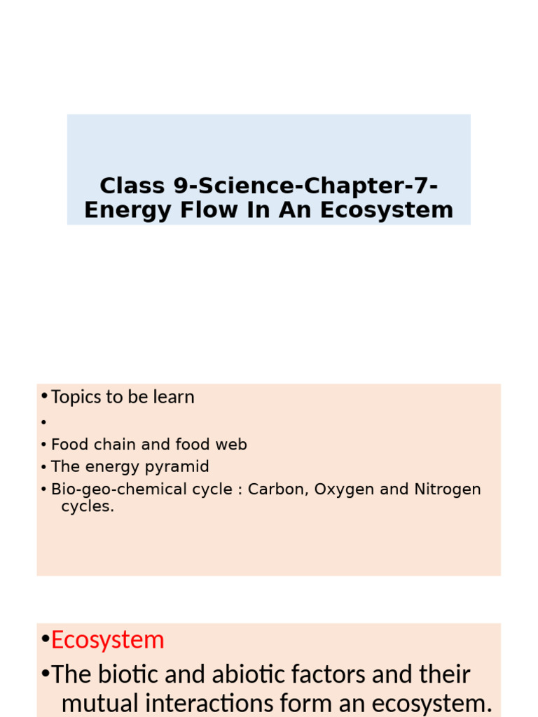 Energy Flow in Eccosystem (4) 111 | PDF | Ecosystem | Food Web