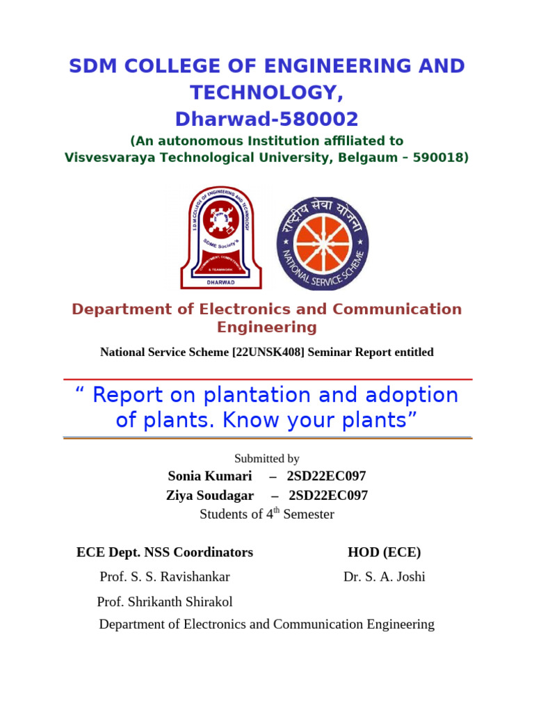 NSS Report Template | PDF