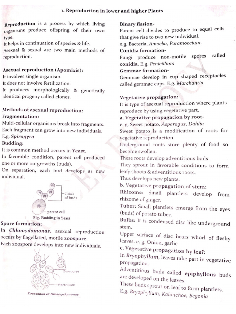 Bio Chapter 1 | PDF