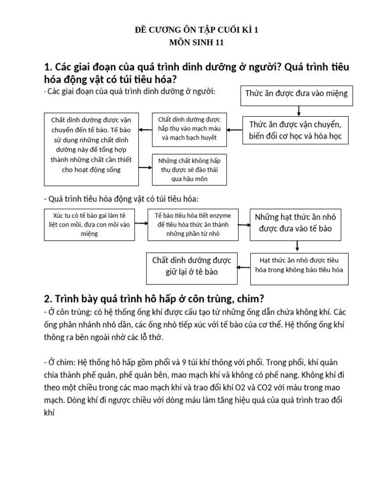 ĐỀ CƯƠNG ÔN TẬP CK1 | PDF