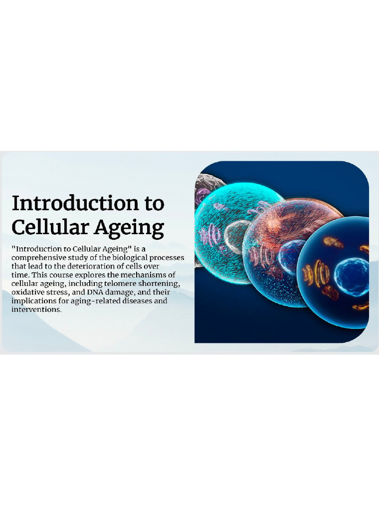 Cellular Ageing | PDF