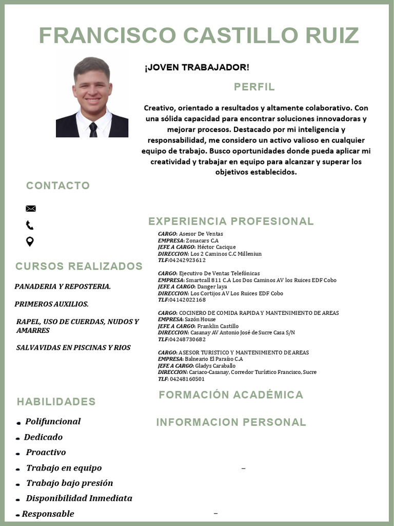 Curriculum Francisco | PDF