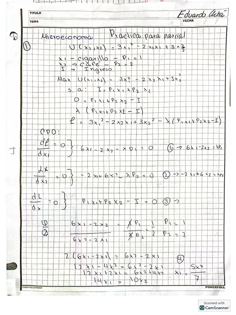 Practica Parcial Micro | PDF