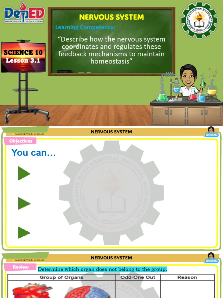 Lesson 3.1 Nervous System | PDF | Nerve | Nervous System