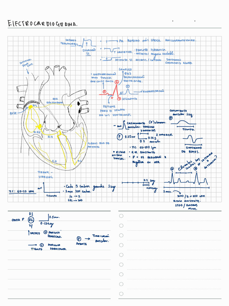 Notes 241219 124115 | PDF