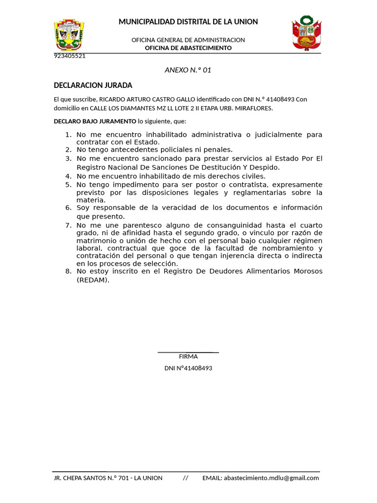 ANEXO Nº 01-DECLARACION JURADA UNION | PDF