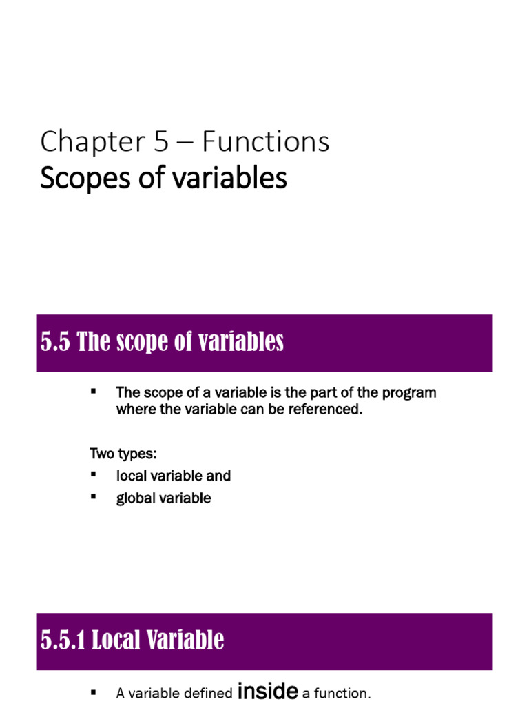 Chapter 5-5-4 - Functions - Scope of Variables | PDF