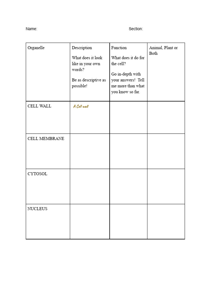 Olivier Estime - Interactive Cell Model Activity | PDF
