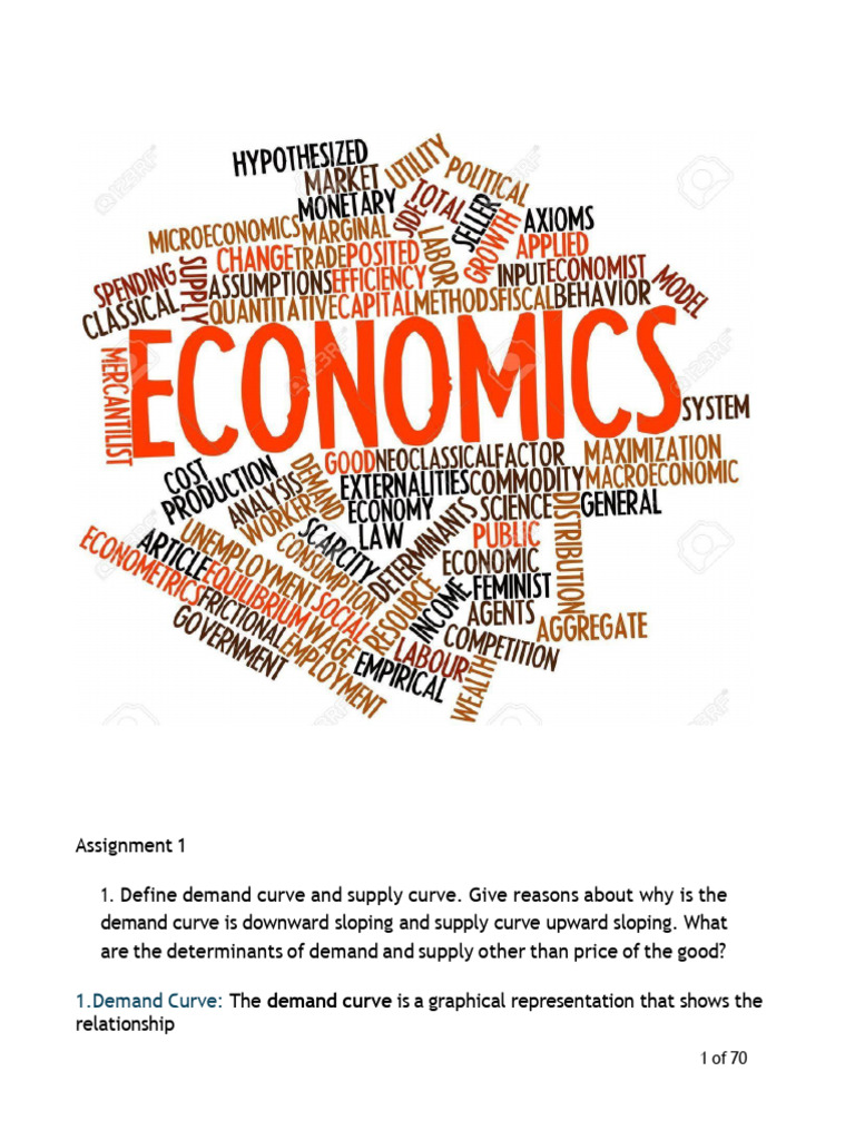 Economics Assignment Guide | PDF | Economic Surplus | Profit (Economics)