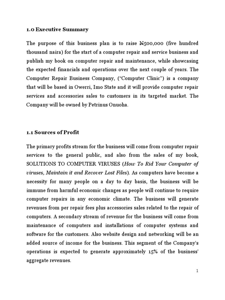 Computer Repair Business Plan Overview | PDF | Business Plan | Interest