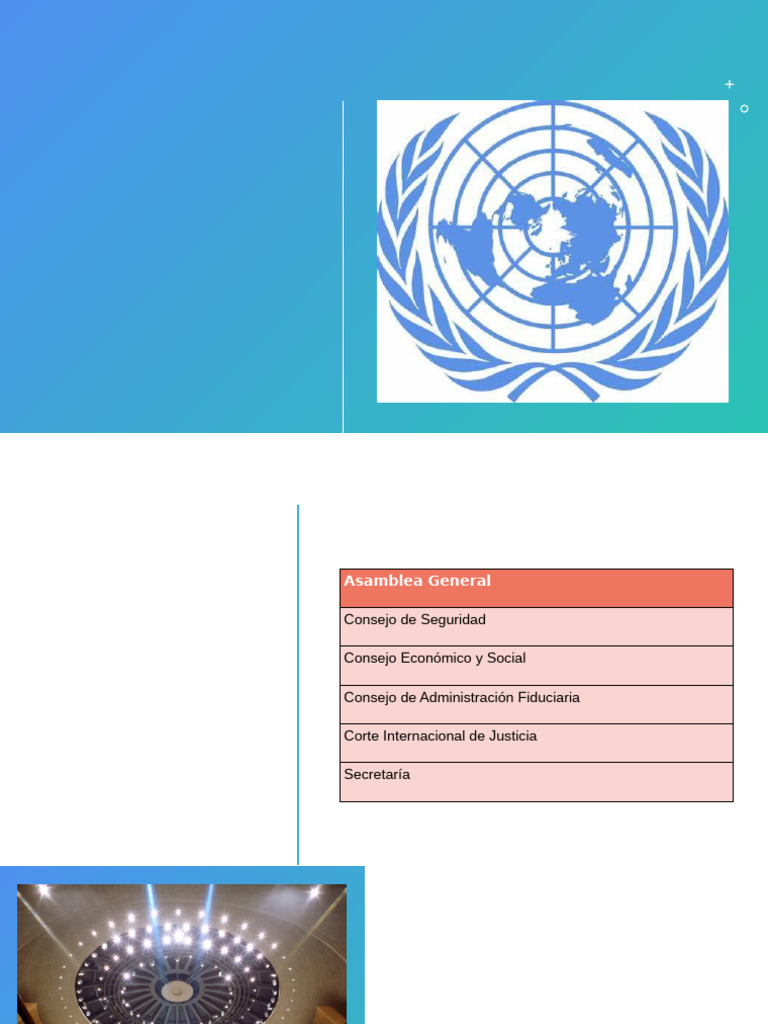 Organos de la ONU | PDF | Naciones Unidas | Relaciones internacionales