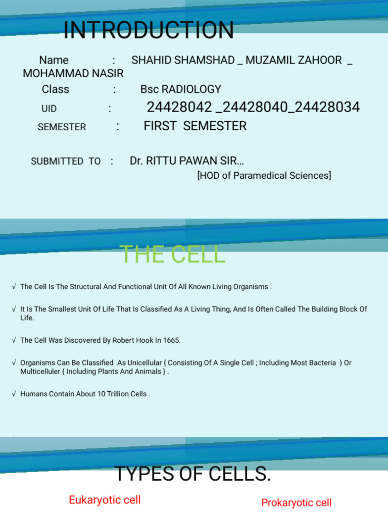 THE CELL ppt | PDF | Cell (Biology) | Endoplasmic Reticulum