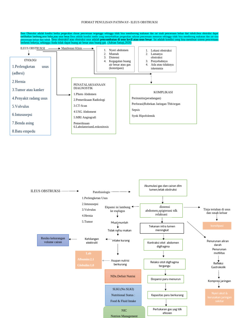 FORMAT PENULISAN PATHWAY Sesuai SDKI, SIKI, SLKI | PDF