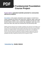 Using FlamMap: A Step-by-Step Guide | PDF | Computer File | Computing