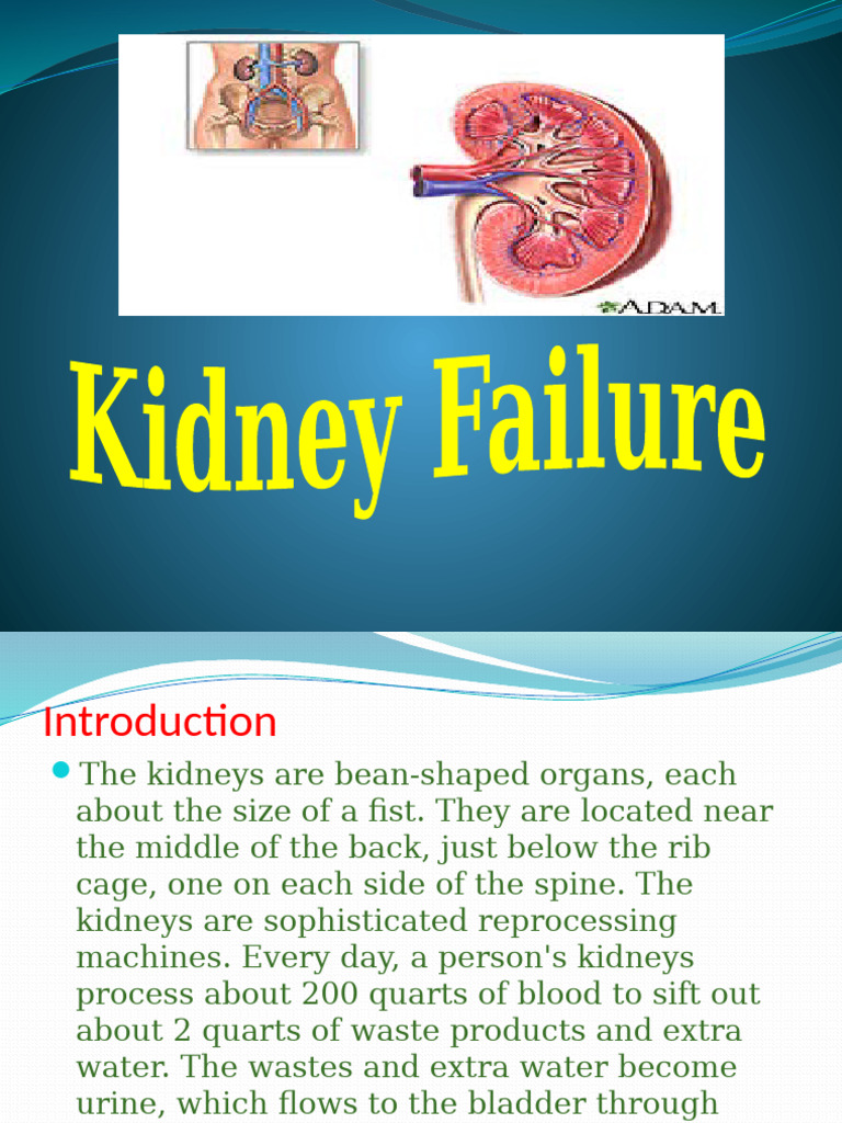 Kidney Failure | PDF | Kidney | Chronic Kidney Disease
