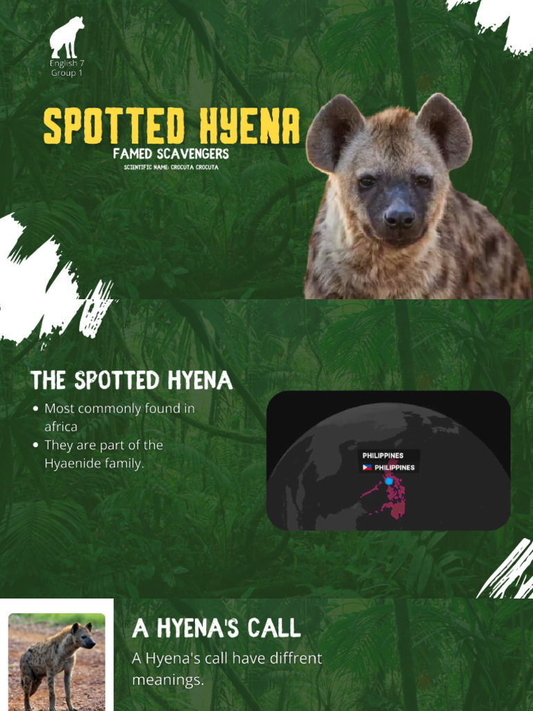 HYena's 20250104 134425 0000 | PDF