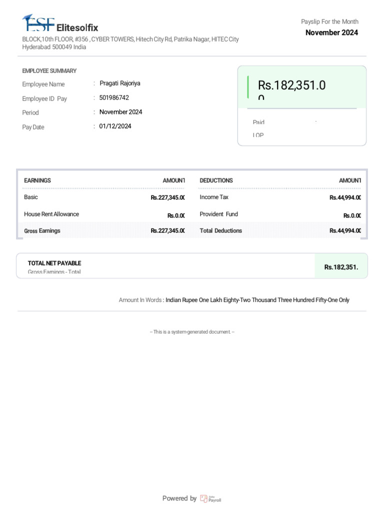 November 2024 Payslip Summary | PDF