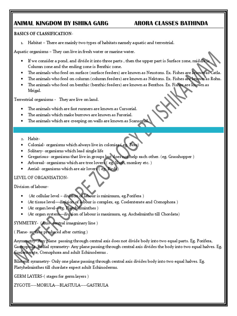 Animal Kingdom Classification Overview | PDF | Mollusca