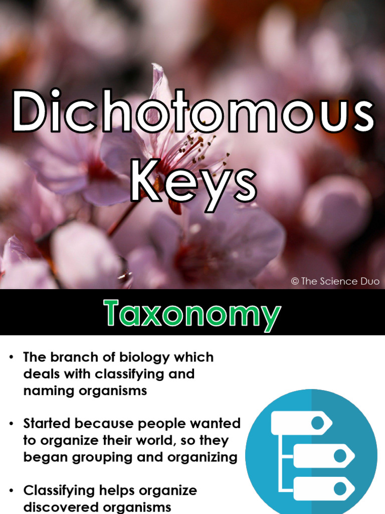 Dichotomous Keys in Taxonomy | PDF