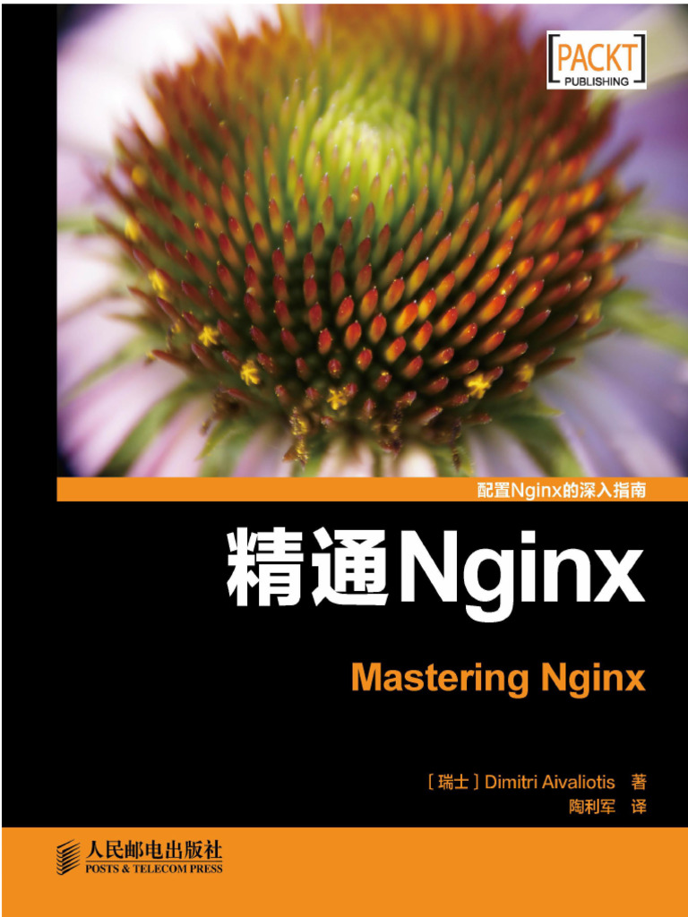 精通Nginx | PDF