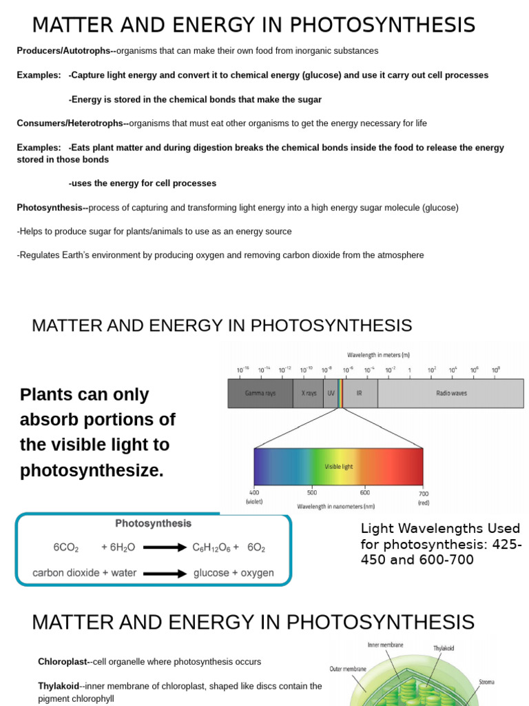 NOTES Unit 3 Matter and Energy in Living Systems | PDF | Cellular ...