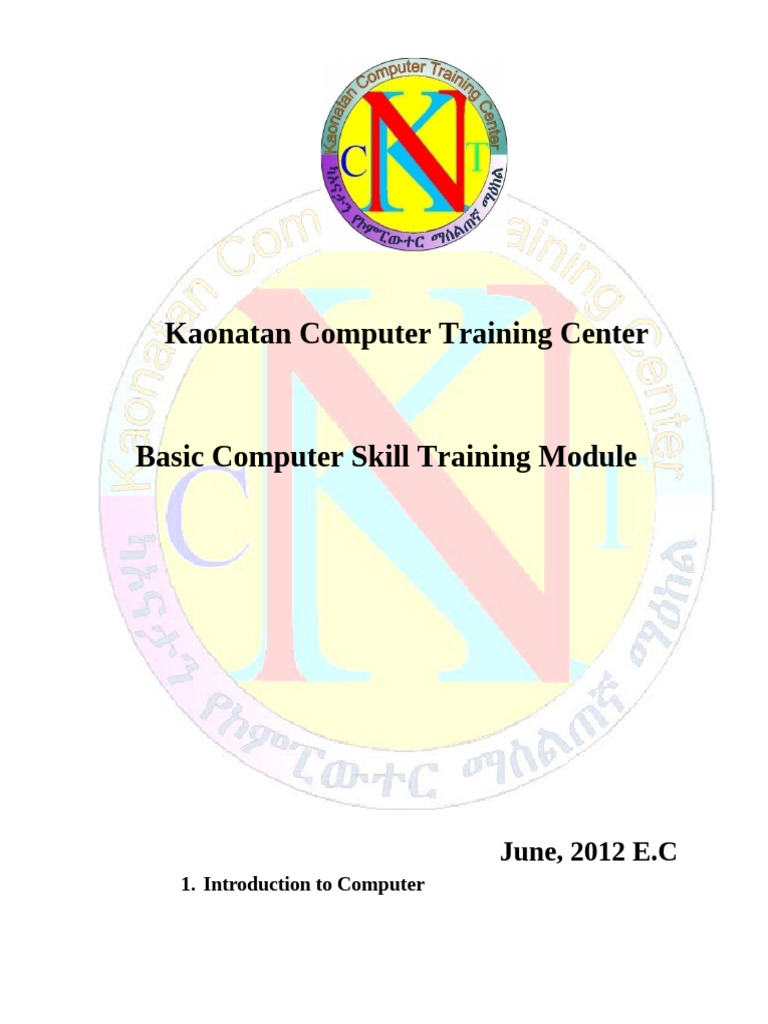 Basic Computer Skills Training Guide | PDF | Microsoft Excel | Spreadsheet