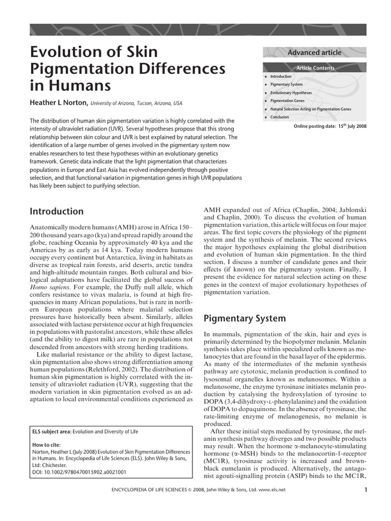 Evolution of Skin Pigmentation Differences in Humans | PDF | Human Skin ...