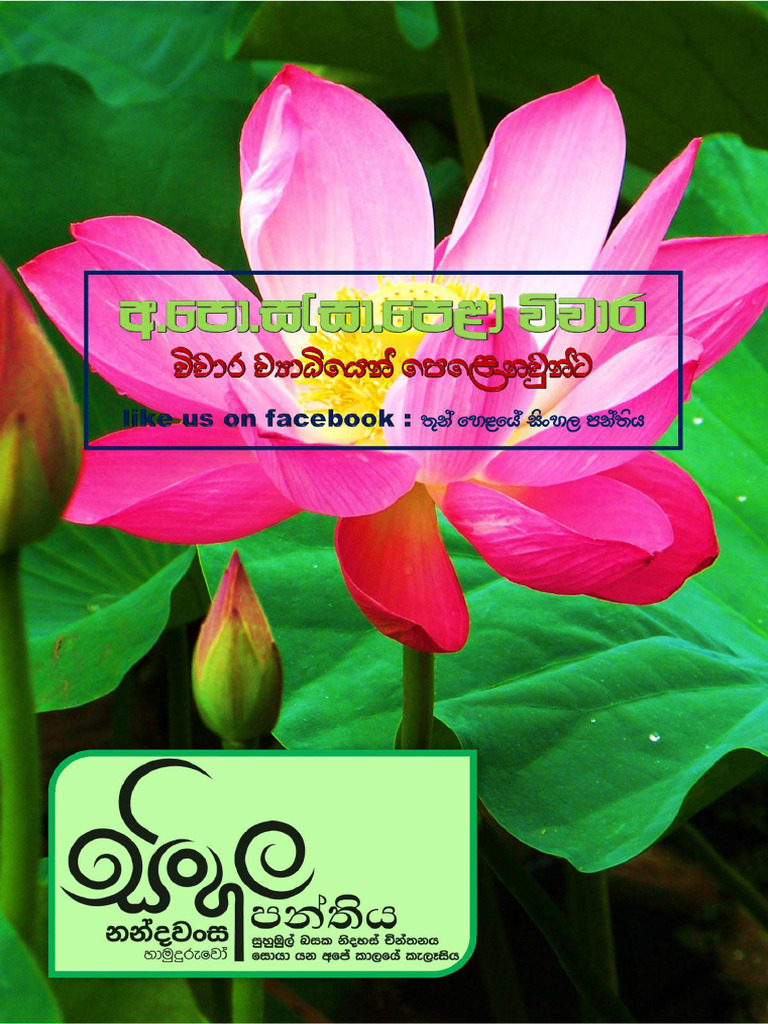 OL Sinhala - Vichara | PDF