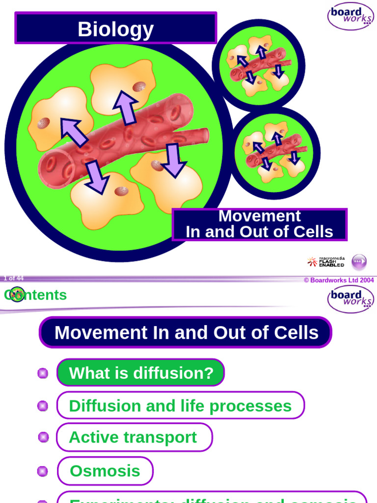 4 Movement in and Out of Cells | PDF | Osmosis | Diffusion