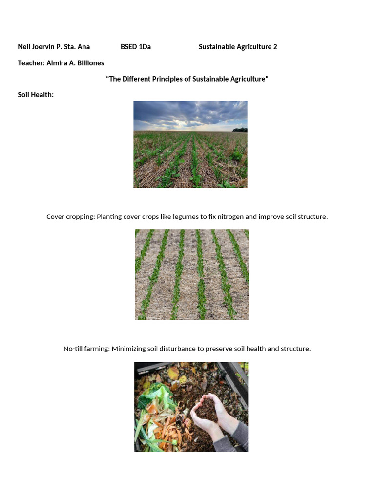 Principles of Sustainable Agriculture | PDF