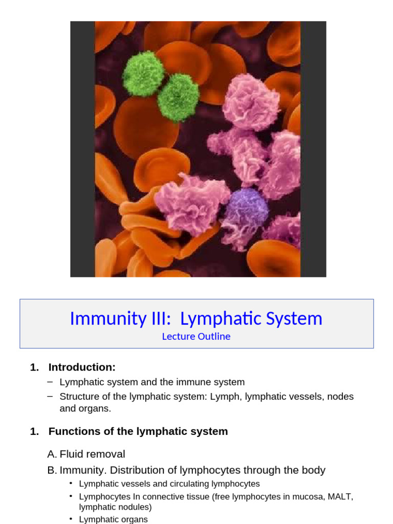 Lymphatic System | PDF | Lymphatic System | Lymph Node