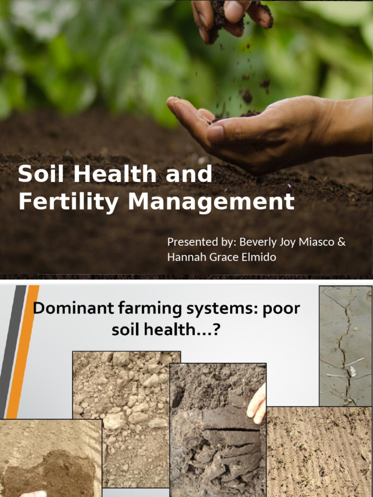 Soil Health and Fertility Management | PDF | Soil | Soil Fertility