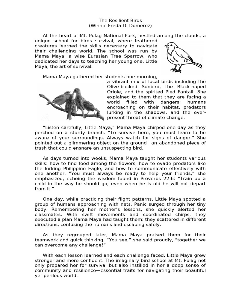 The Bird | PDF | Birds | Ornithology