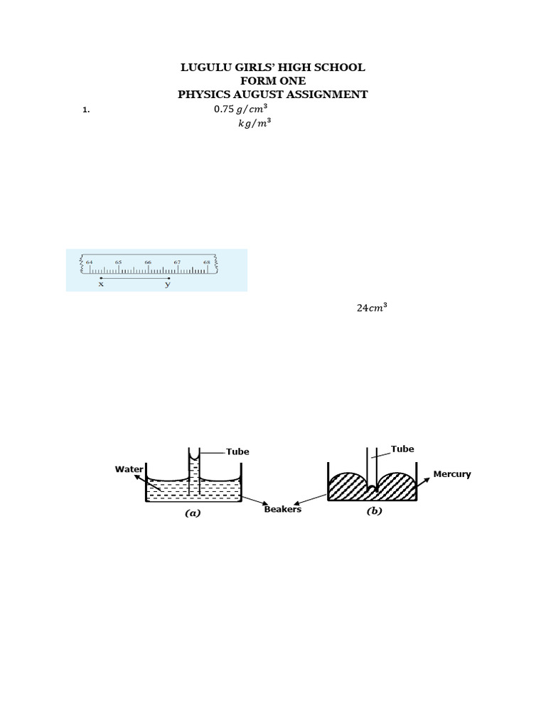 Physics Assignment for Students | PDF | Smoke | Diffusion