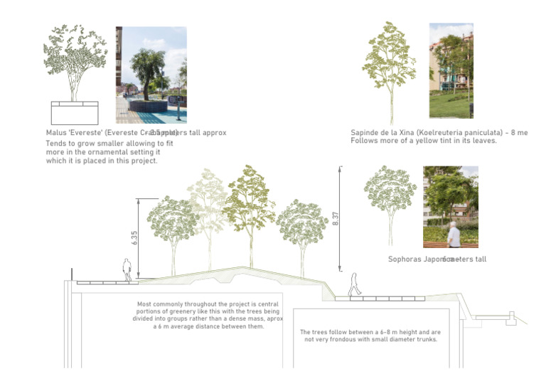 GREENERY DIAGRAM - SECTION | PDF