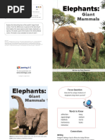 Elephant | PDF