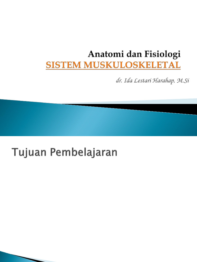 Anfis Muskuloskeletal 2023 | PDF