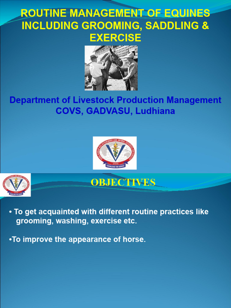 10 Routine Management-Equines | PDF | Horses