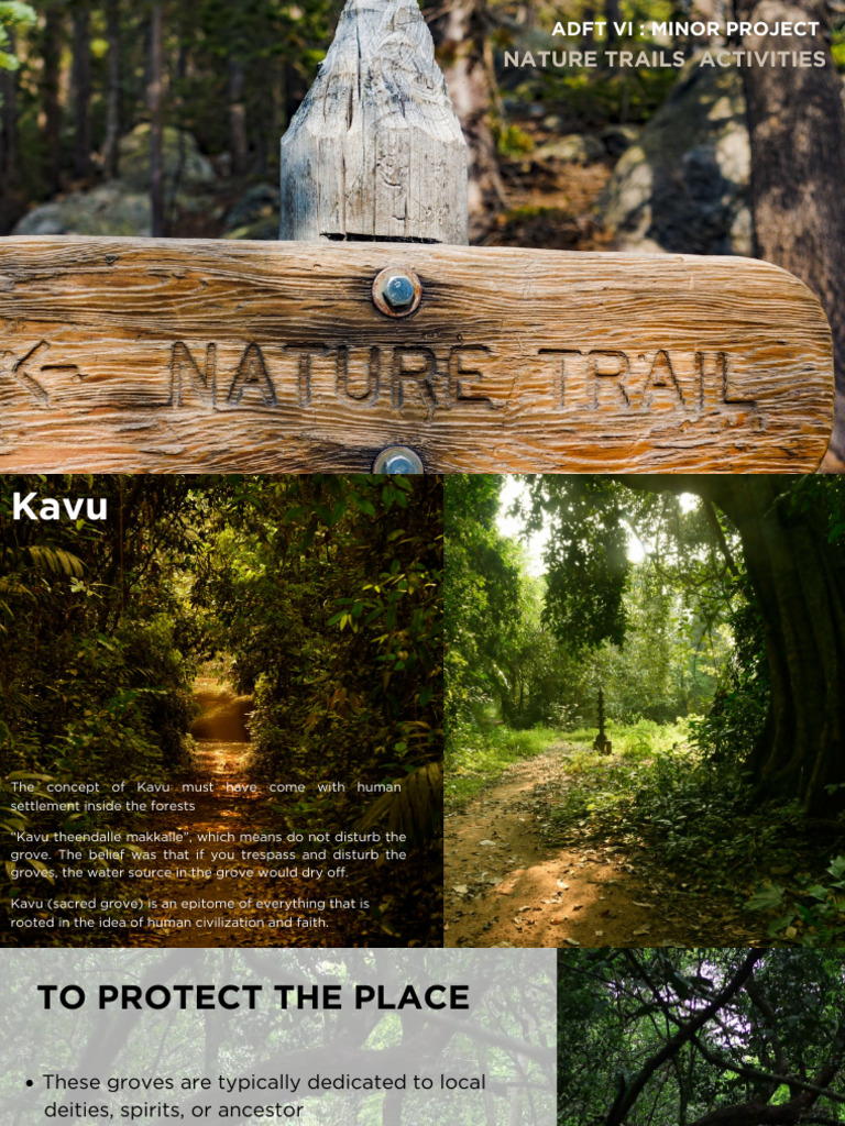 Nature Trails Activities | PDF