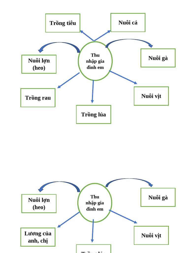 So Do Tu Duy | PDF